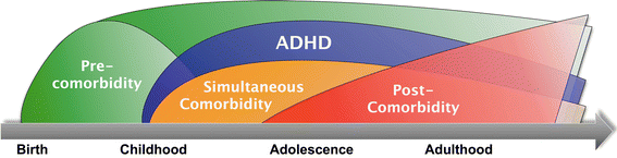 Developmental comorbidity in attention-deficit/hyperactivity disorder ...