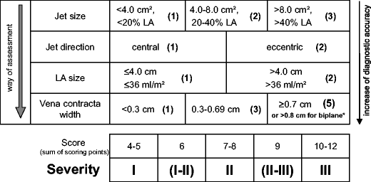 Real-Time Three-Dimensional Echocardiographic Assessment of Severity of ...