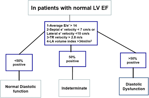 Modern Assessment of Diastolic Function | SpringerLink