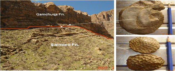Biostratigraphy of the Tethyan cretaceous successions from northwestern ...