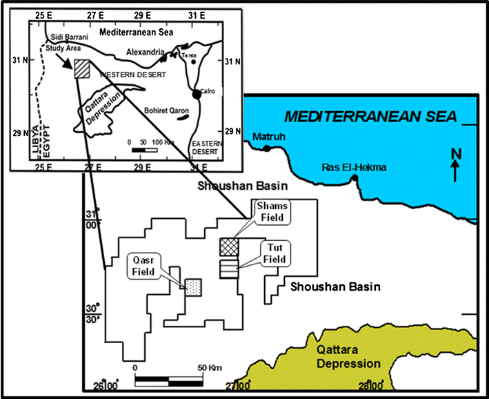 Petroleum system analysis of the Khatatba Formation in the Shoushan ...