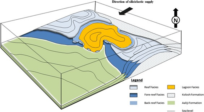 Depositional setting and basin development of the Paleocene—Lower ...