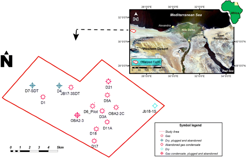 Impact of depositional environment on petrophysical reservoir ...