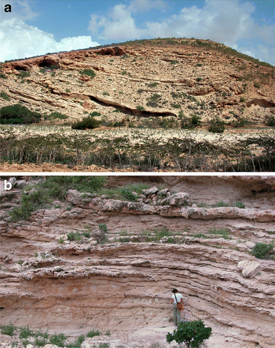 Middle Eocene-Early Miocene larger foraminifera from Dhofar (Oman) and ...