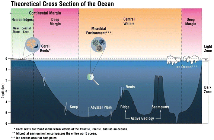 The Census of Marine Life—evolution of worldwide marine biodiversity ...
