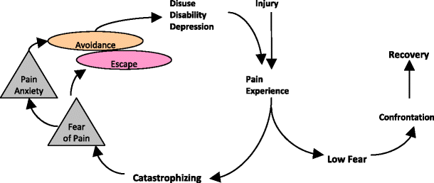 The Fear-Avoidance Model of Chronic Pain: Assessing the Role of ...
