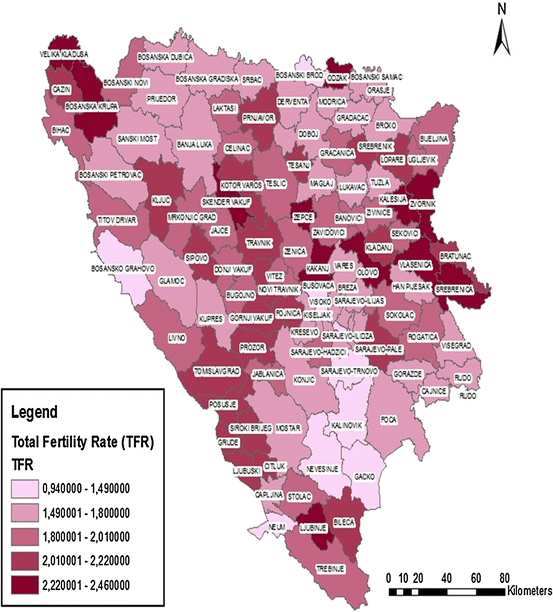 Population ageing and low fertility: recent demographic changes in ...