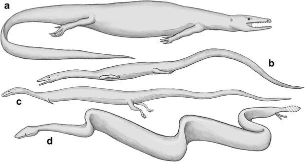 Mesozoic and Cenozoic squamates of Europe | SpringerLink