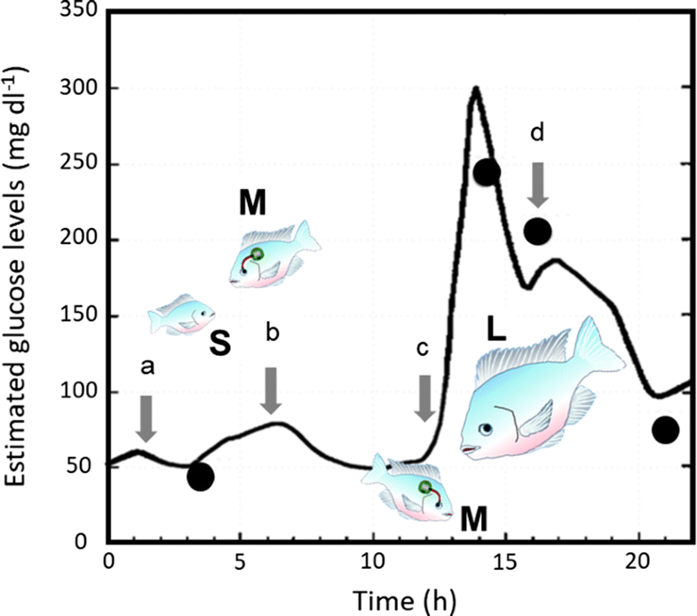 Biosensors for the assessment of fish health: a review | SpringerLink
