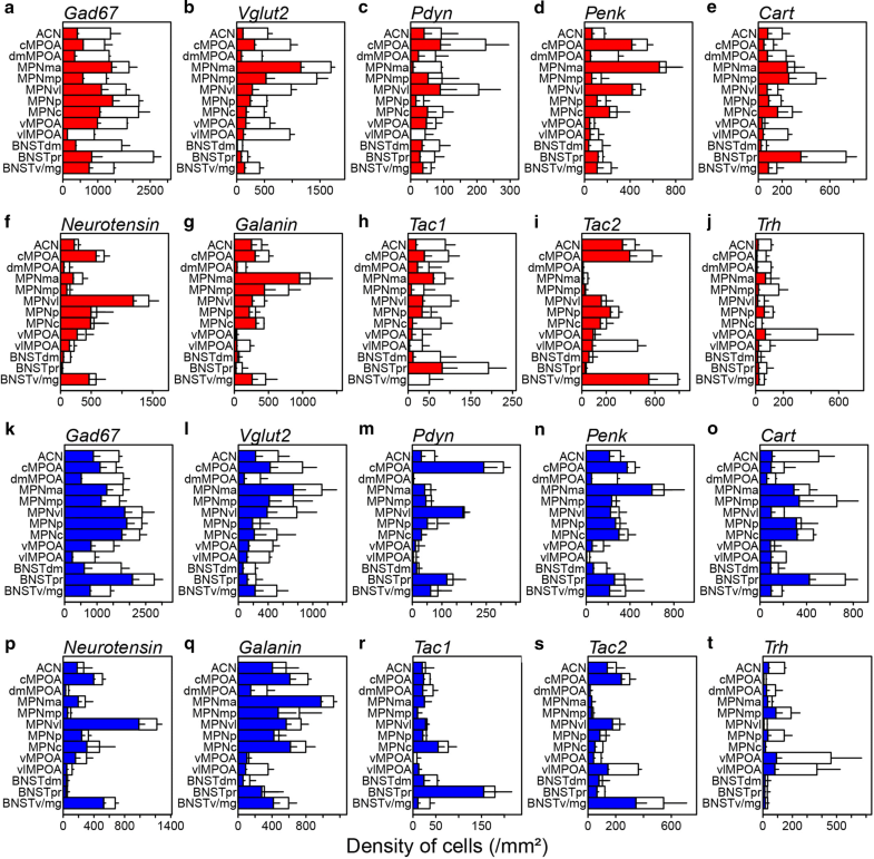 Molecular neuroanatomy of the mouse medial preoptic area with reference ...
