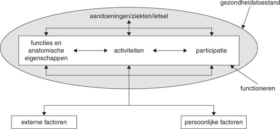Gebruik van classificatiesystemen | SpringerLink