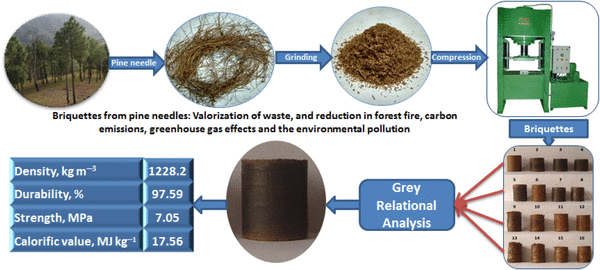 Briquetting of Pine Needles ( Pinus roxburgii) and Their Physical ...