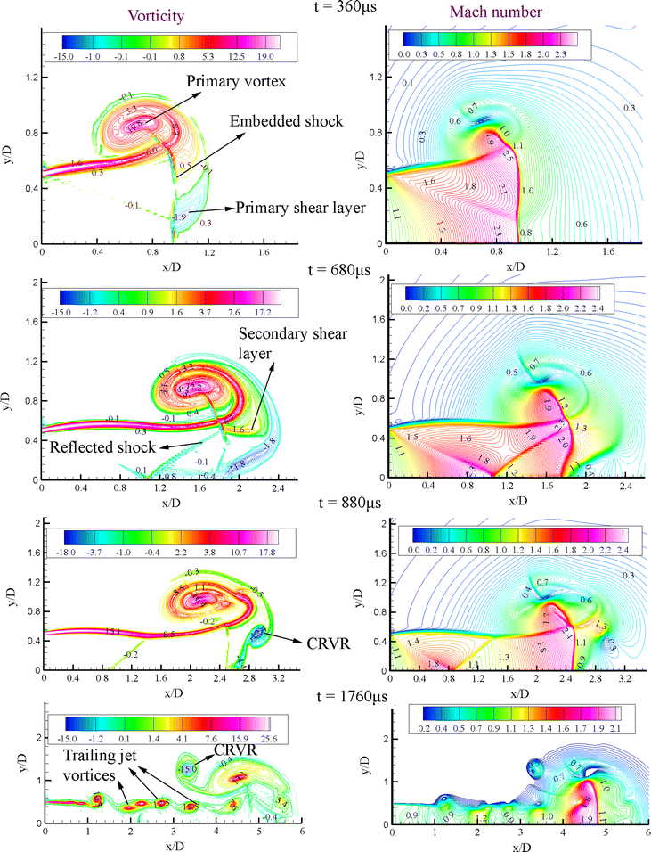 Numerical visualization of counter rotating vortex ring formation ahead ...