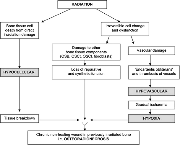 Osteoradionecrosis of the Jaws: Clinico-Therapeutic Management: A ...