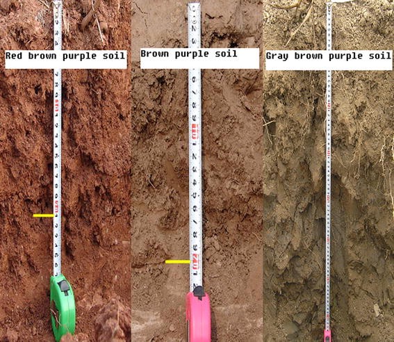 Effects of rock fragments on infiltration and evaporation in hilly ...