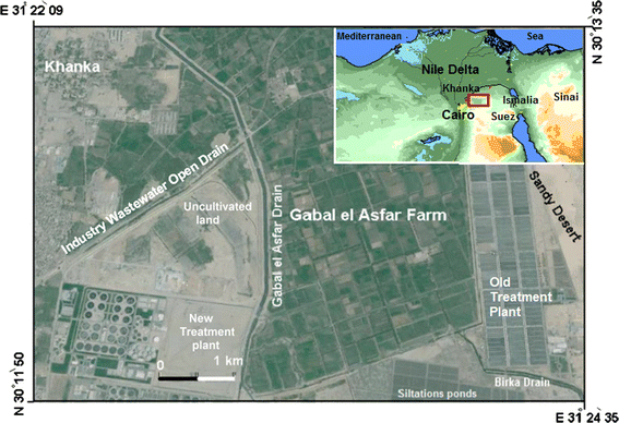 Monitoring of wastewater percolation in unsaturated sandy soil using ...