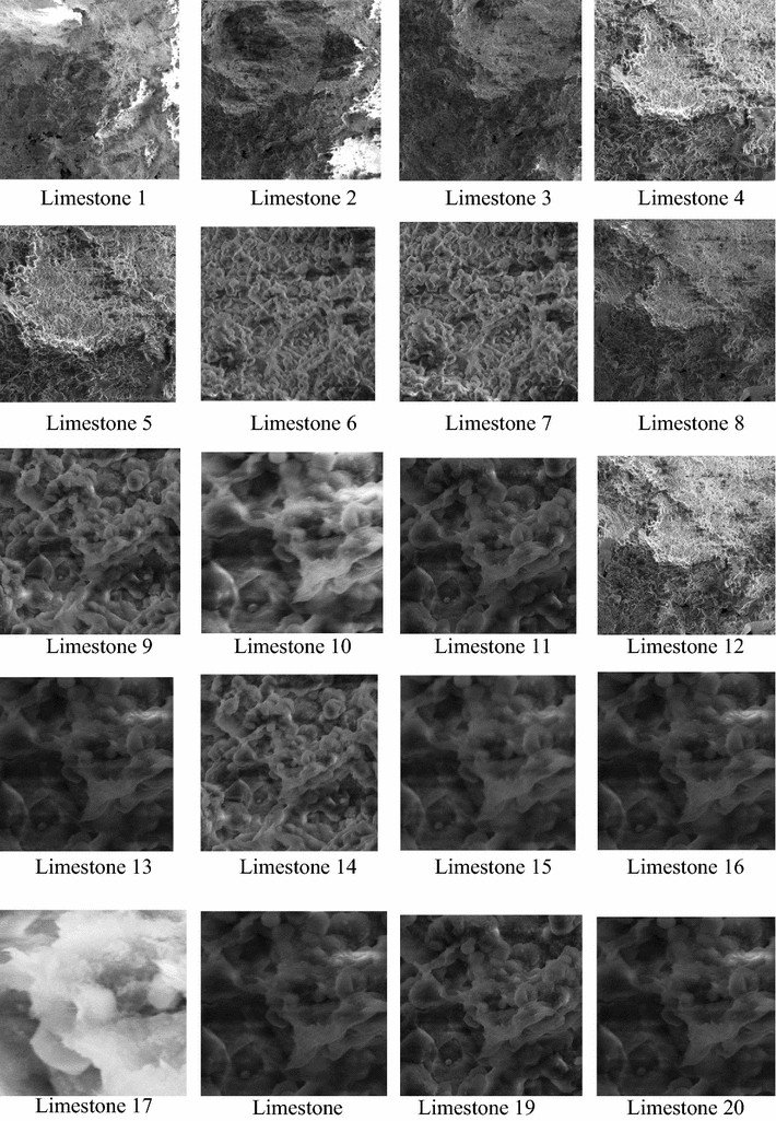Experimental investigation of factors affecting compressional and shear ...