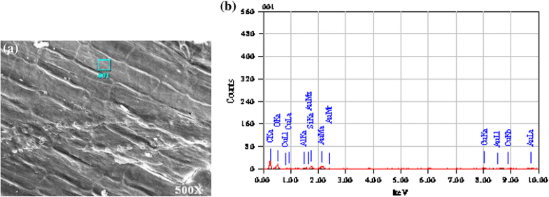 Determination of Silica Activity Index and XRD, SEM and EDS Studies of ...