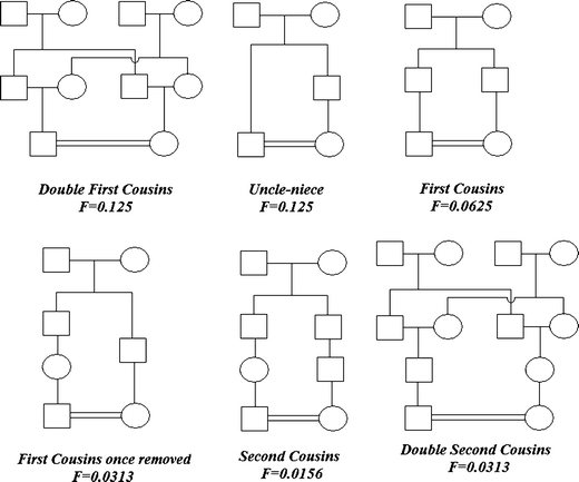 Consanguineous marriages | SpringerLink
