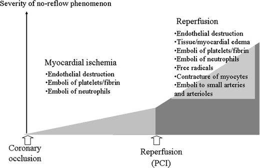 The no-reflow phenomenon associated with percutaneous coronary intervention: its mechanisms and ...