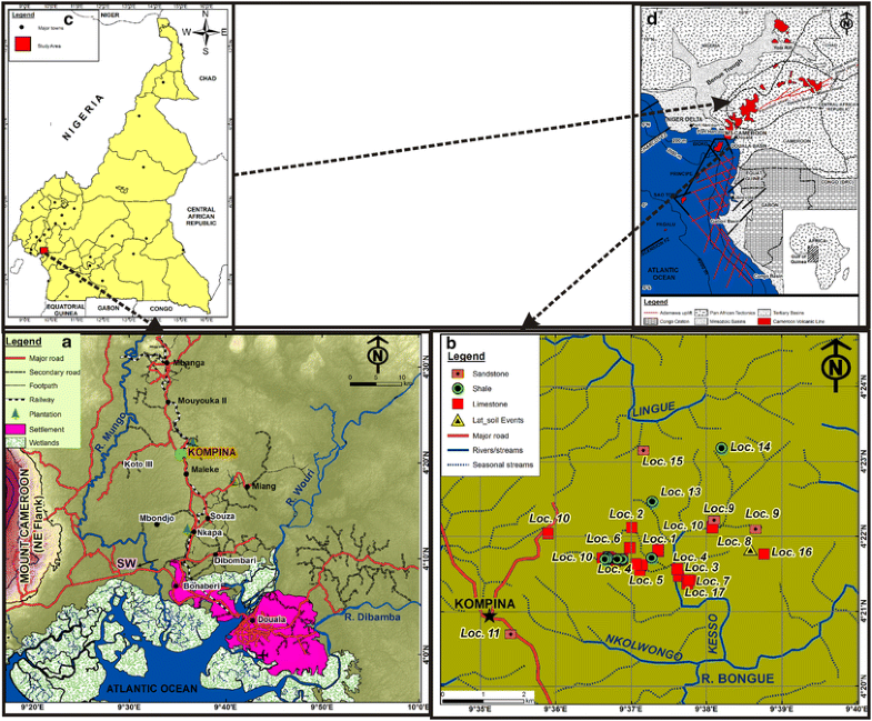 Petrography, lithofacies and depositional environment of carbonate ...