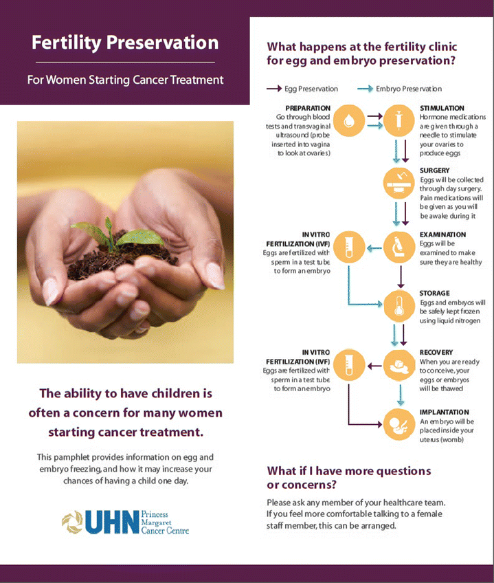 Improving Access to Standardized Fertility Preservation Information for ...