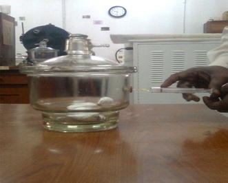 Phosphine fumigation for control of bamboo borer, Dinoderus minutus Fab ...