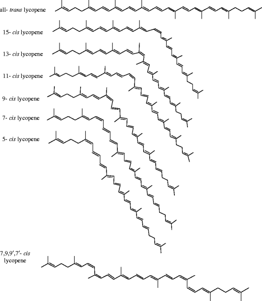 Lycopene; chemistry, biosynthesis, metabolism and degradation under ...