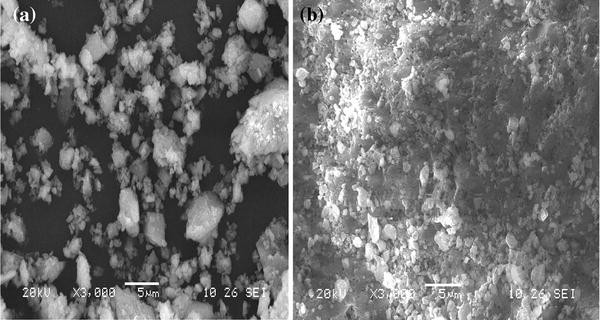 Calcined eggshell as a cost effective material for removal of dyes from ...