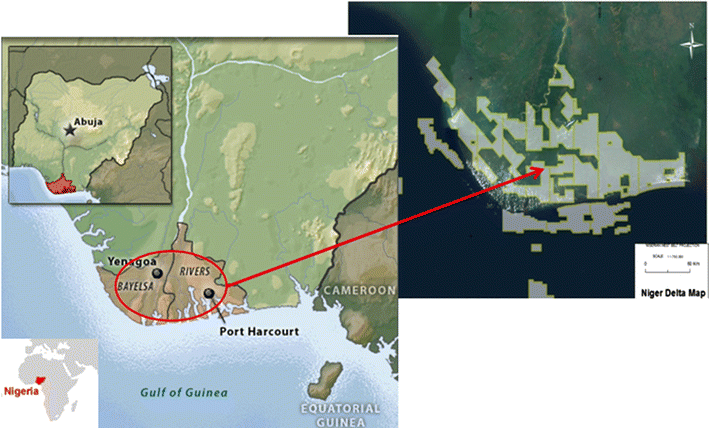 Analysis of multiples in onshore Niger Delta: a prelude to fault shadow ...
