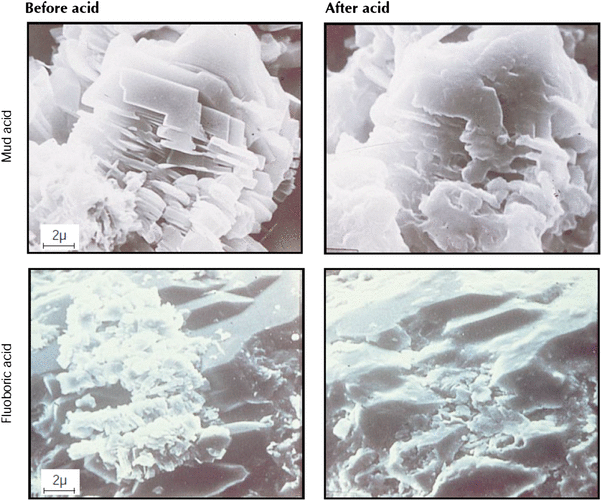 A preliminary screening and characterization of suitable acids for ...