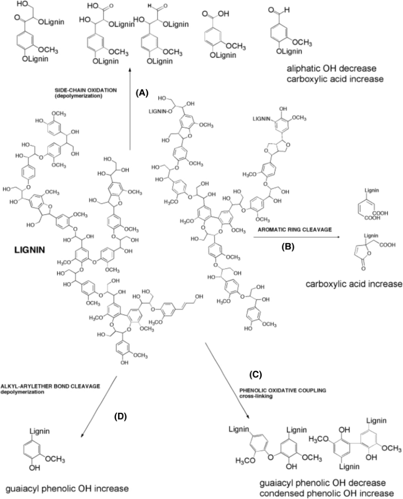 Heterogeneously catalyzed lignin depolymerization | SpringerLink
