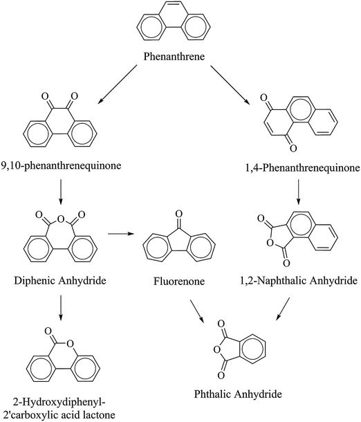 Autoxidation of aromatics | SpringerLink