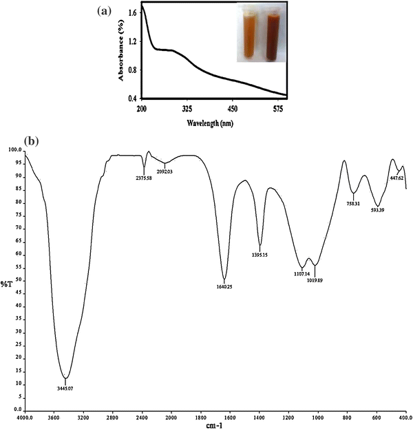 Ultra-rapid photocatalytic activity of Azadirachta indica engineered ...