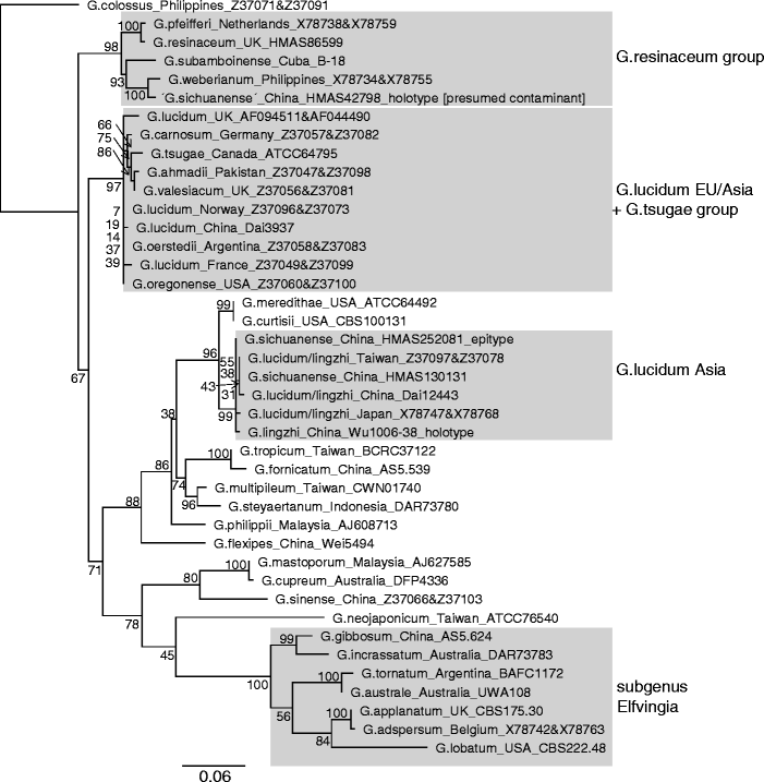 An assessment of the taxonomy and chemotaxonomy of Ganoderma | SpringerLink