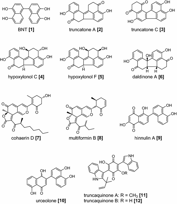 Phylogenetic and chemotaxonomic resolution of the genus Annulohypoxylon ...