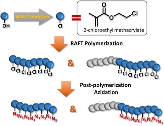 Reversible Addition-Fragmentation Chain Transfer Polymerization of 2 ...