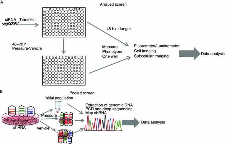 Applications of RNA interference high-throughput screening technology ...