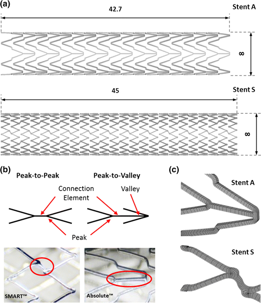 Computational Modelling of In Vitro Set-Ups for Peripheral Self ...