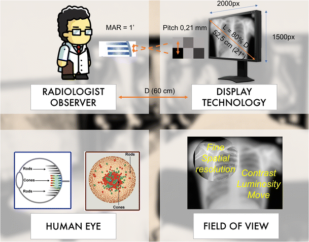 A review of existing and potential computer user interfaces for modern ...