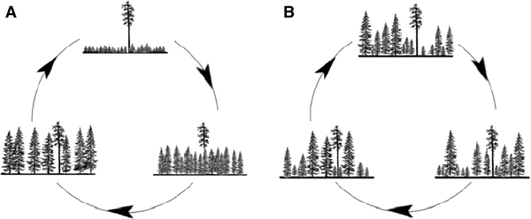 Even-Aged and Uneven-Aged Forest Management in Boreal Fennoscandia: A ...