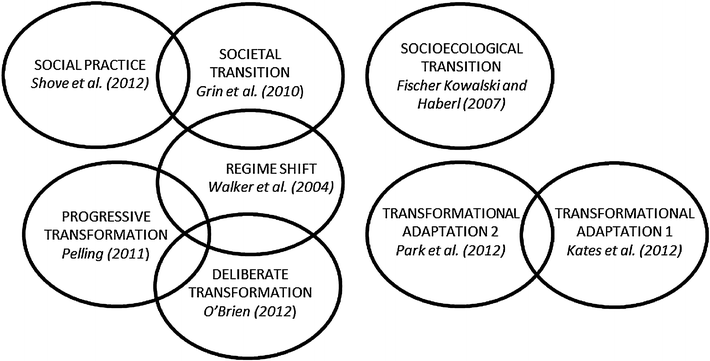 Societal transformation in response to global environmental change: A ...