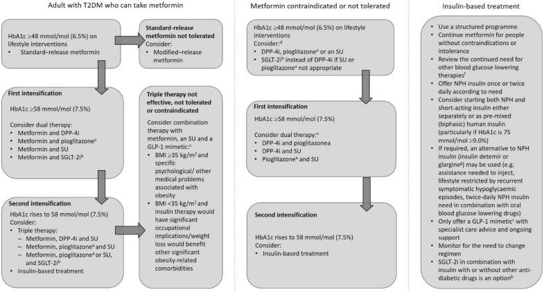 SGLT2 Inhibitors in Type 2 Diabetes Management: Key Evidence and ...