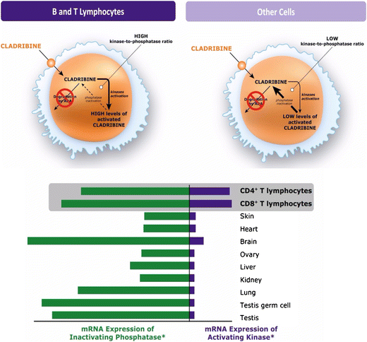 Cladribine to Treat Relapsing Forms of Multiple Sclerosis | SpringerLink