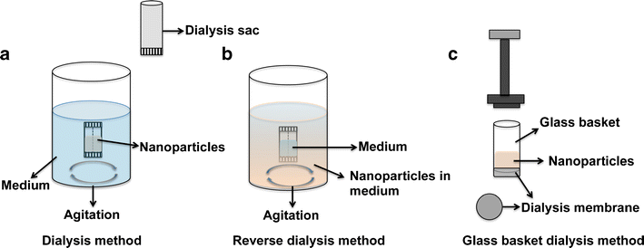 In vitro dissolution testing strategies for nanoparticulate drug ...