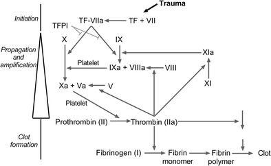 Recent advances in hemophilia B therapy | SpringerLink