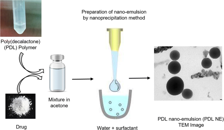 Facile methodology of nanoemulsion preparation using oily polymer for ...