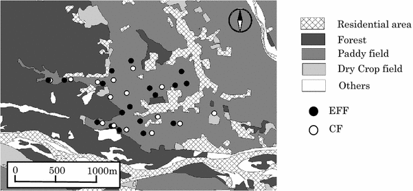 Spatio-temporal dynamics of generalist predators ( Tetragnatha spider ...