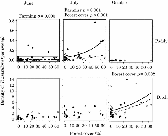 Spatio-temporal dynamics of generalist predators ( Tetragnatha spider ...