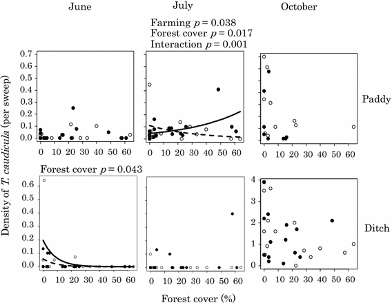 Spatio-temporal dynamics of generalist predators ( Tetragnatha spider ...